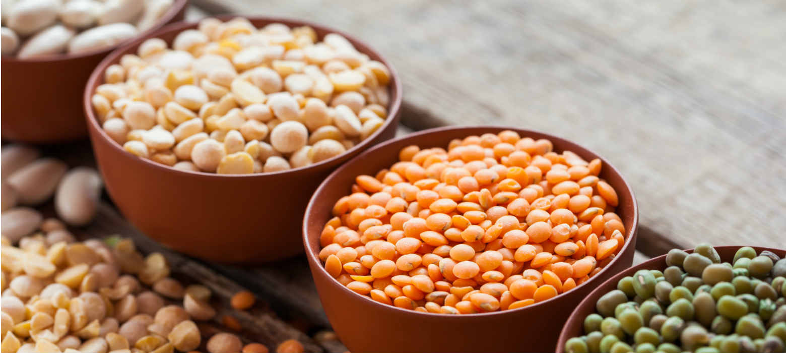 Alternative protein sources