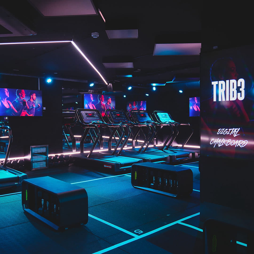 TRIB3 - Um treino inovador